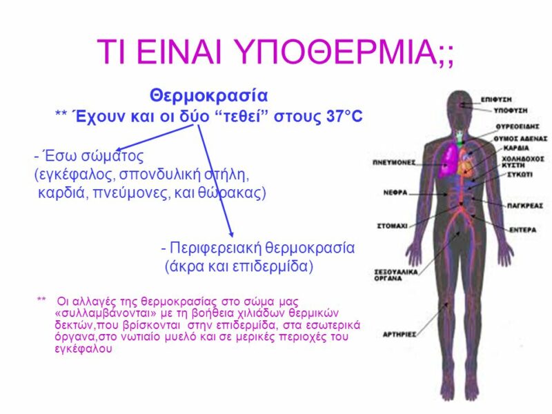 Υποθερμία - Εθελοντές Πολιτικής Προστασίας Μίκρας